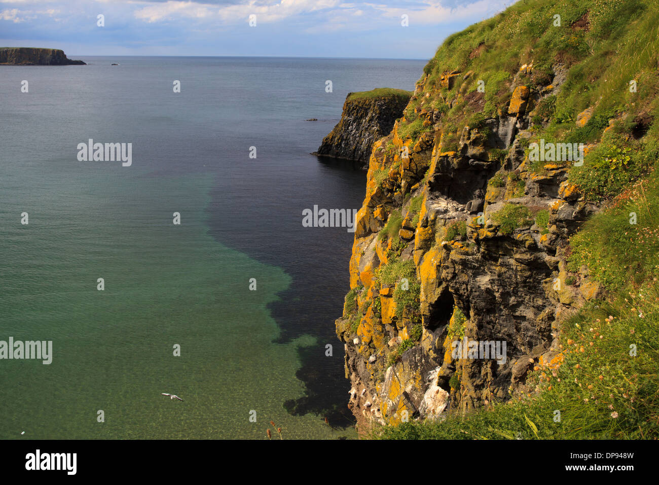 Coastal scenery near Carrick a Rede along the causeway coast, Co ...