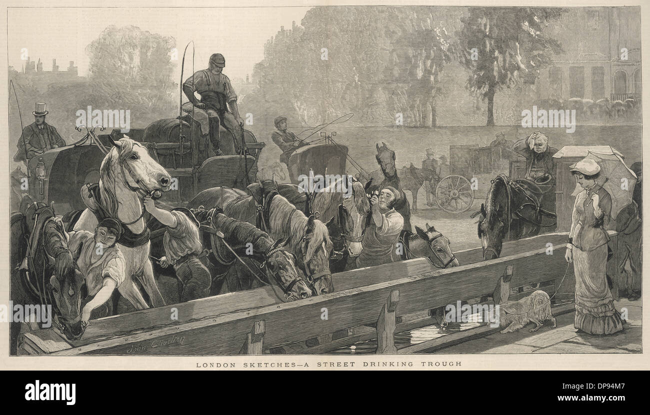 Working horses drinking at a trough, London Stock Photo - Alamy