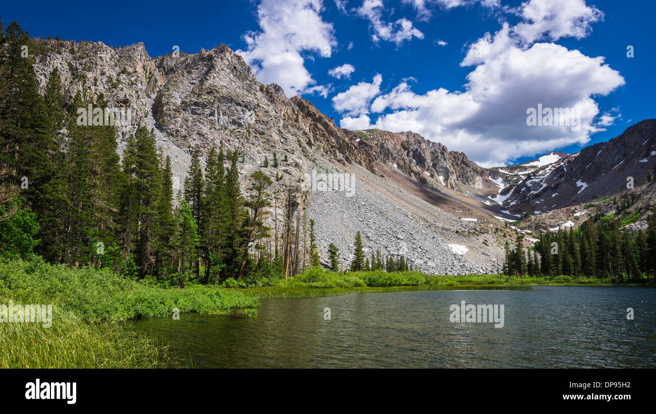 Ansel adams landscapes hi-res stock photography and images - Alamy