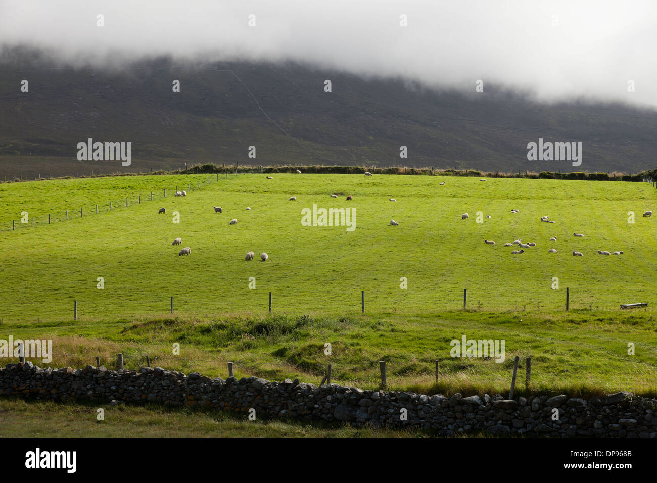 Landscape, Westport, Co. Mayo, Ireland Stock Photo - Alamy