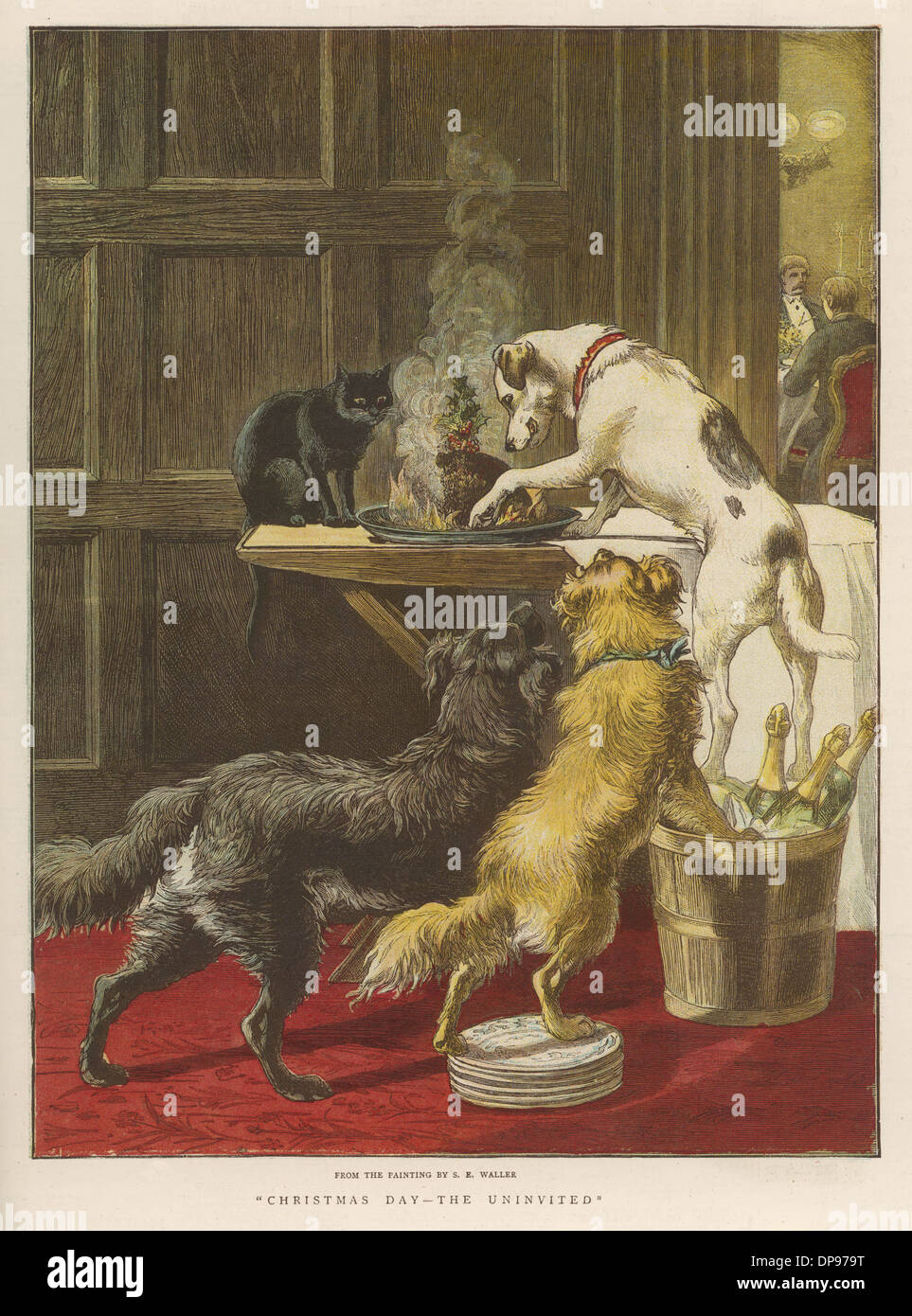 DOGS AND PUDDING Stock Photo - Alamy