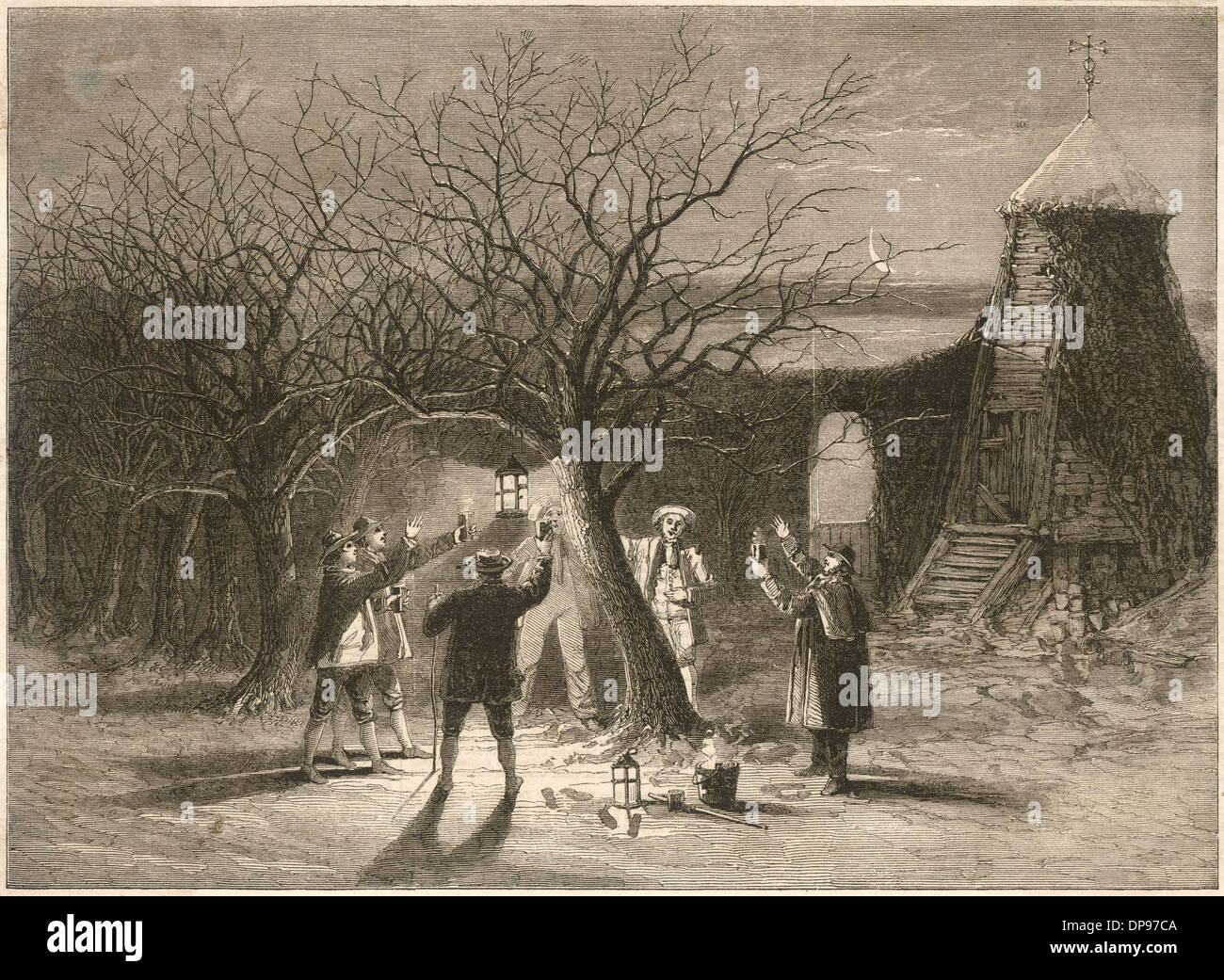 WASSAILING APPLE TREES Stock Photo - Alamy