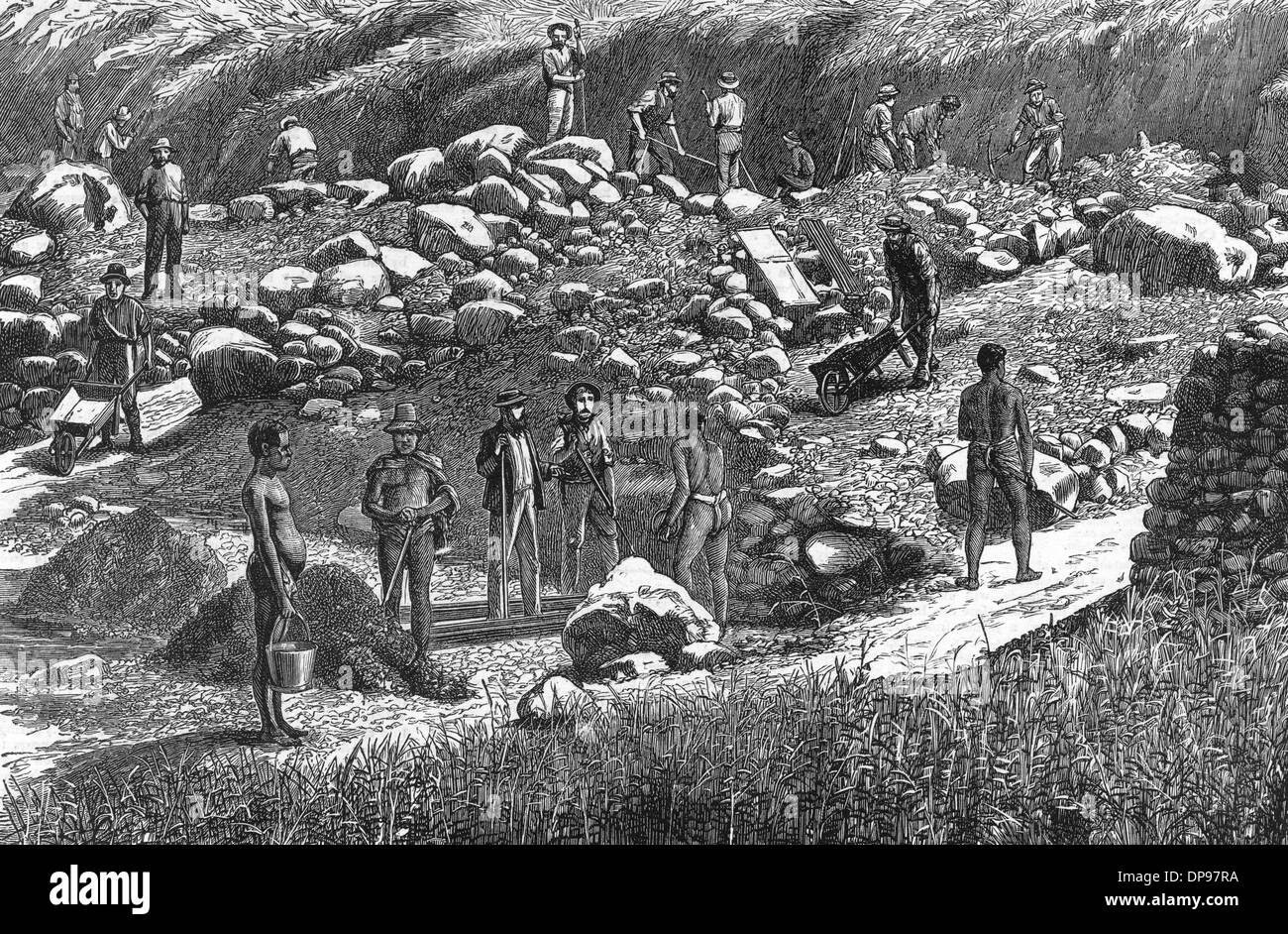 GOLD IN TRANSVAAL Stock Photo - Alamy