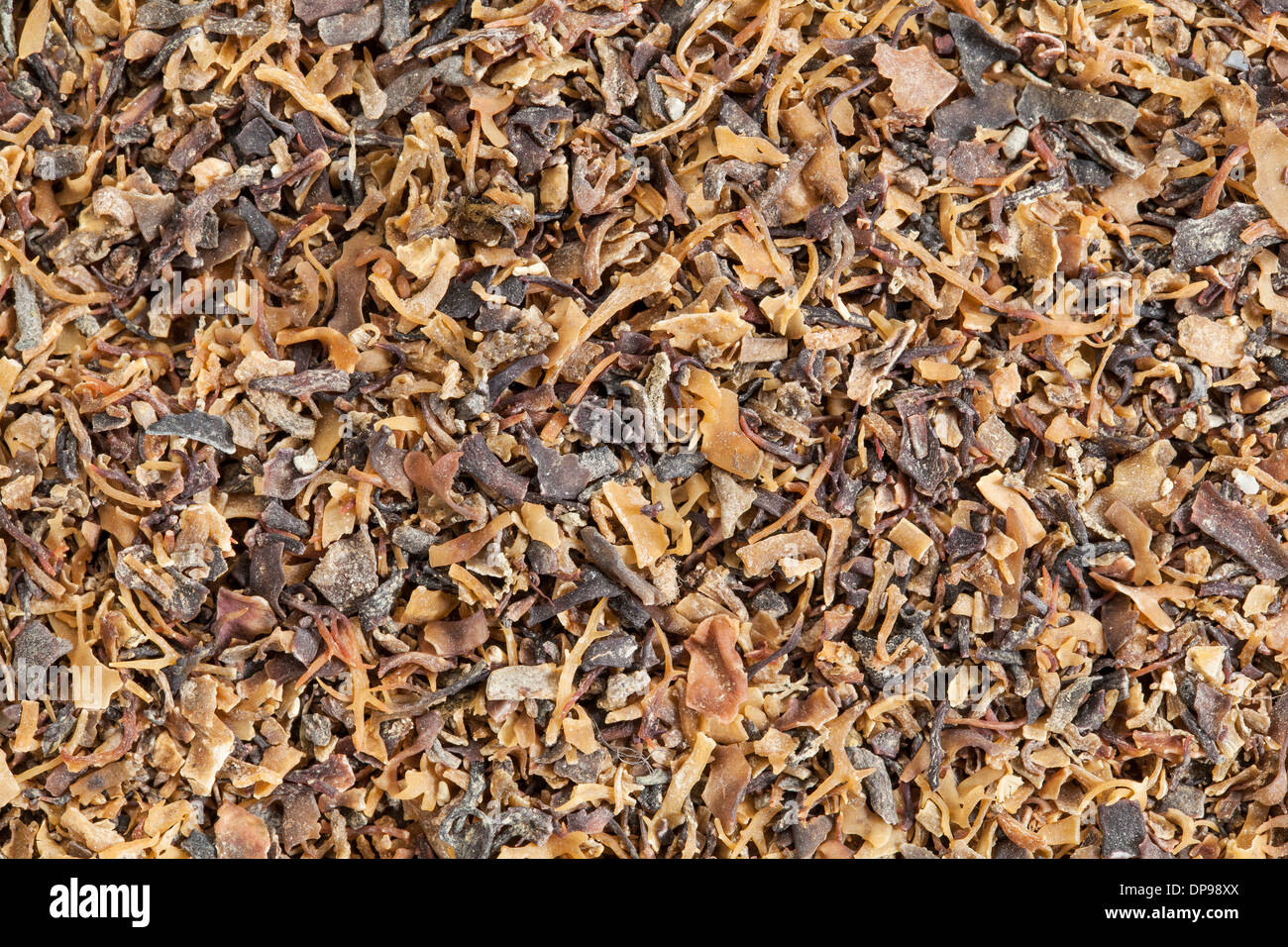Background of dried Irish moss seaweed (Chondrus crispus) rich in ...