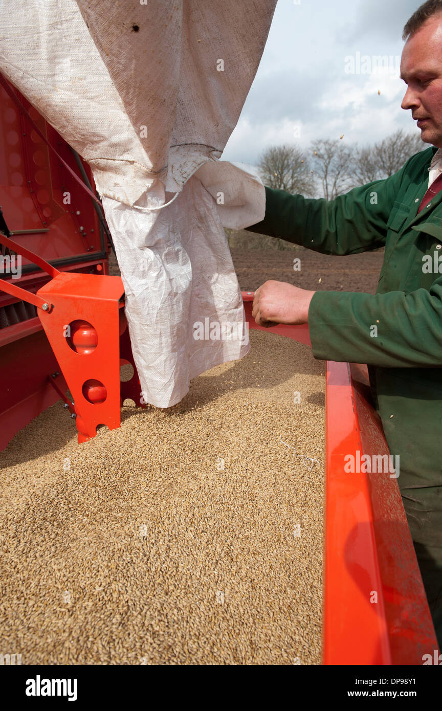 Loading a seed drill with Spring Barley seed. Cumbria, UK Stock Photo ...