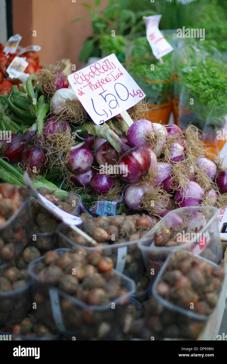 Red onions from Southern Italy displayed at the Orefici Market in ...
