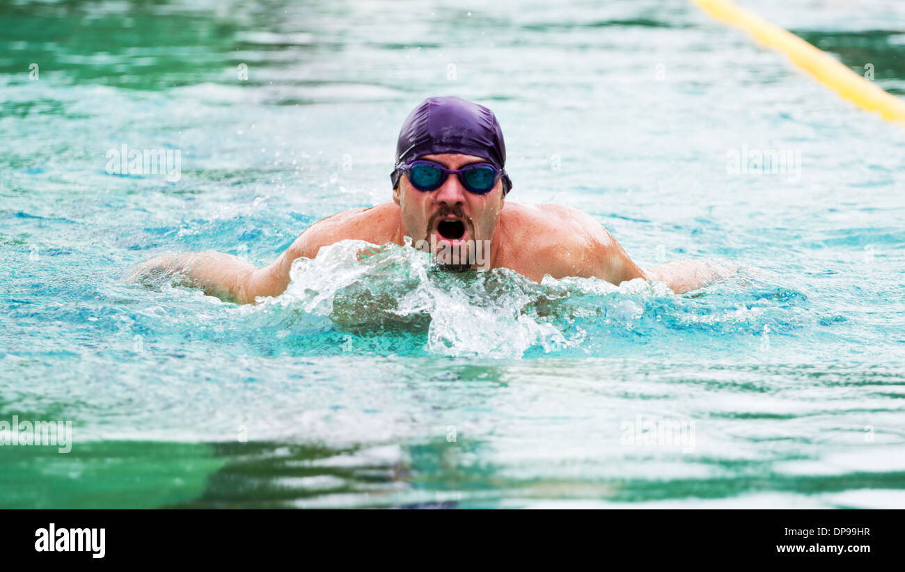 Swimmer performing the butterfly stroke in olimpic basin Stock Photo ...