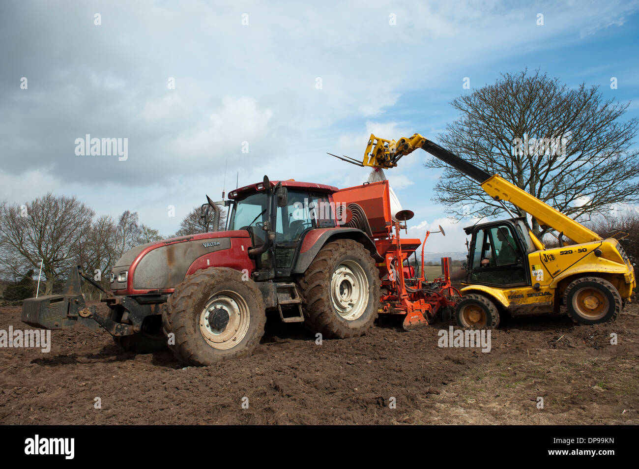 Barley seed hi-res stock photography and images - Alamy