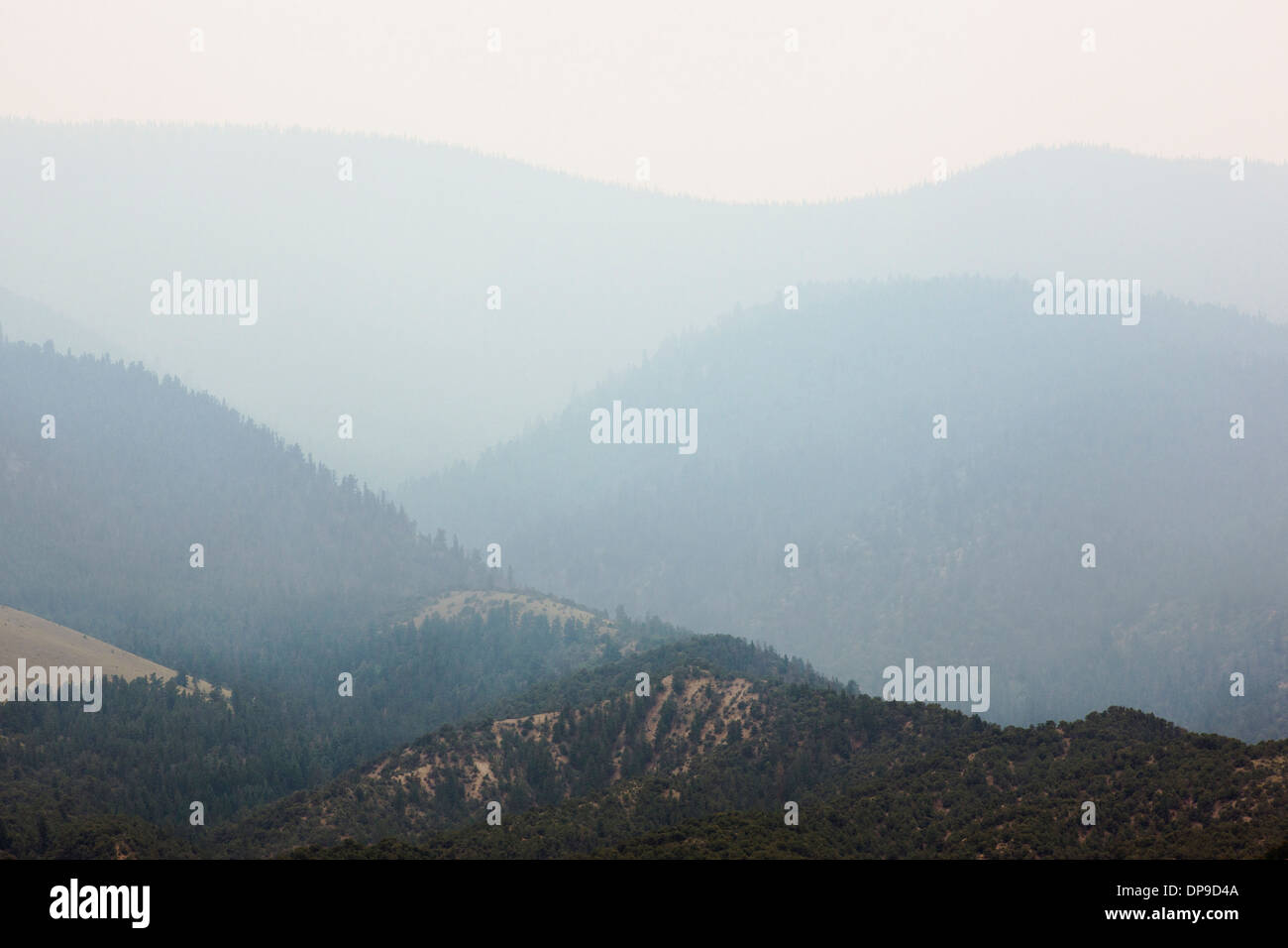 Smoke from burning forest hi-res stock photography and images - Alamy