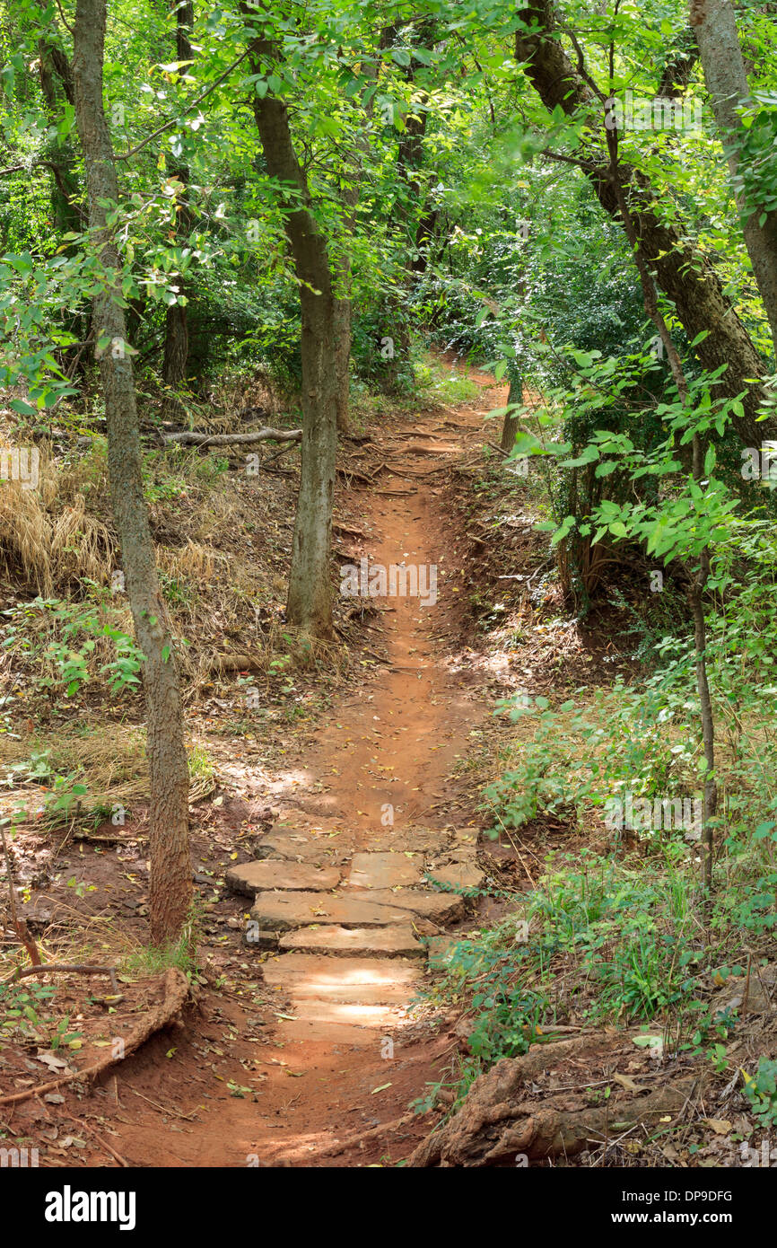Wooded pathway hi-res stock photography and images - Alamy