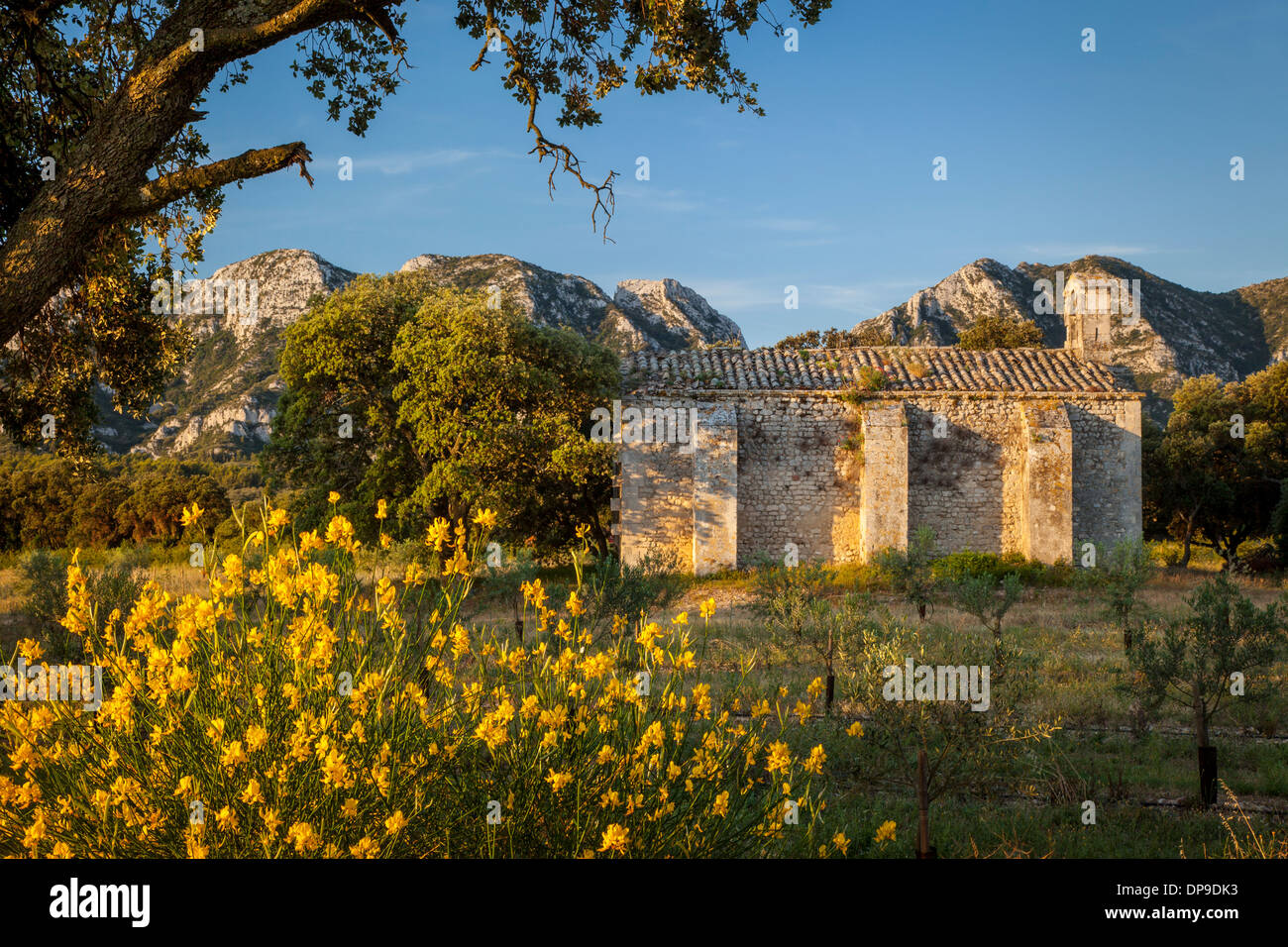 Landscape at saint remy hi-res stock photography and images - Alamy