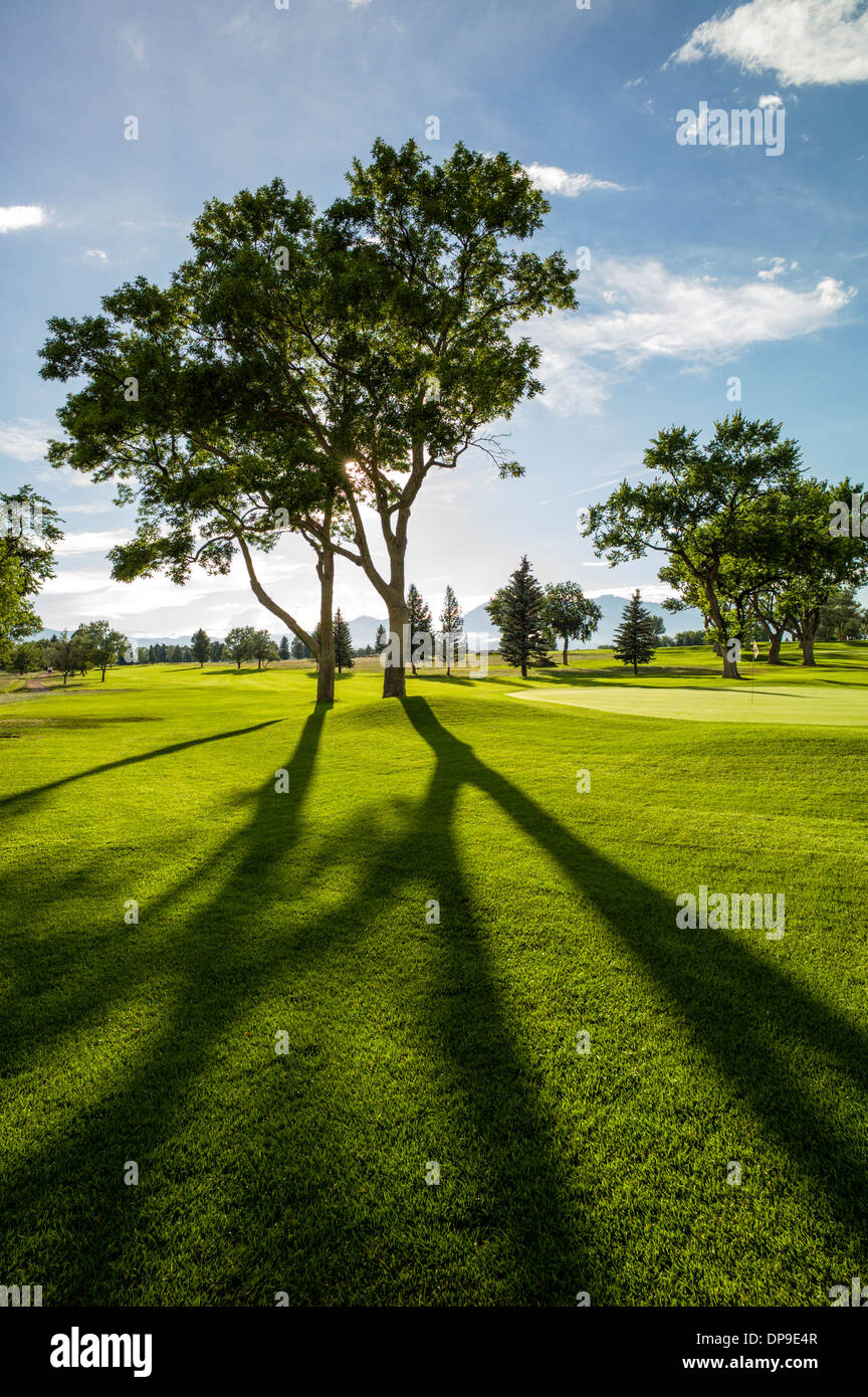 Backlit view of late afternoon light on lush nine hole Salida, Colorado ...