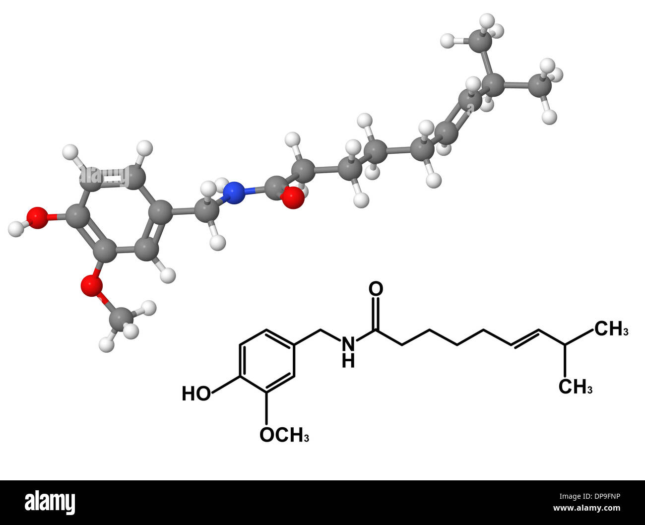Capsaicin (C18H27NO3) molecule with chemical formula isolated on white ...