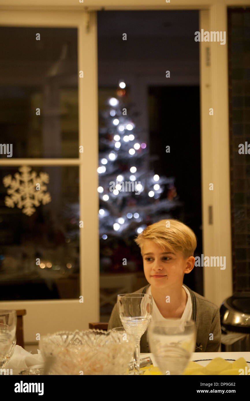 A young boy looks happy at a Christmas lunch with a Christmas tree ...