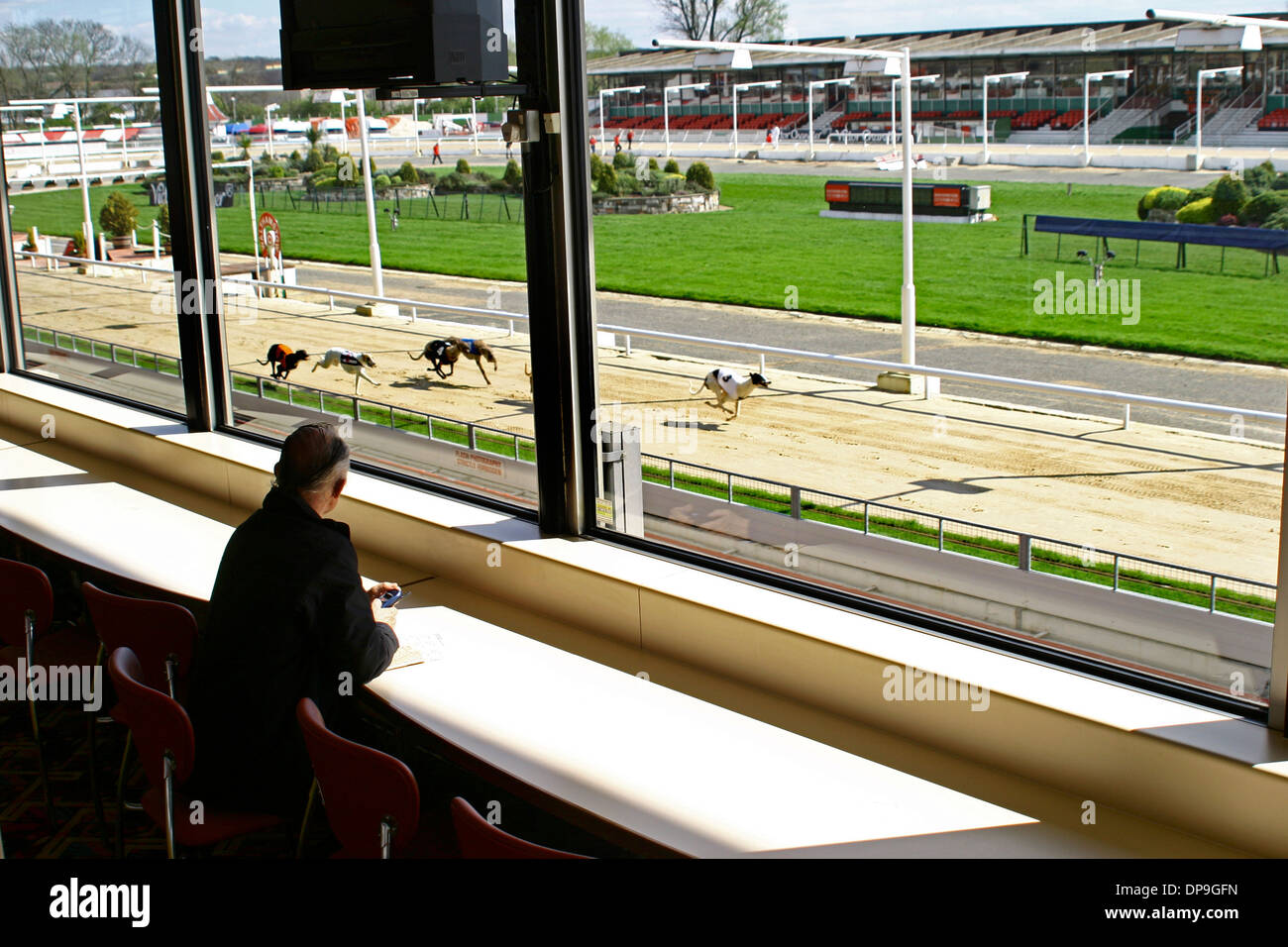 A punter watching at a race at the Walthamstow Stadium greyhound racing ...