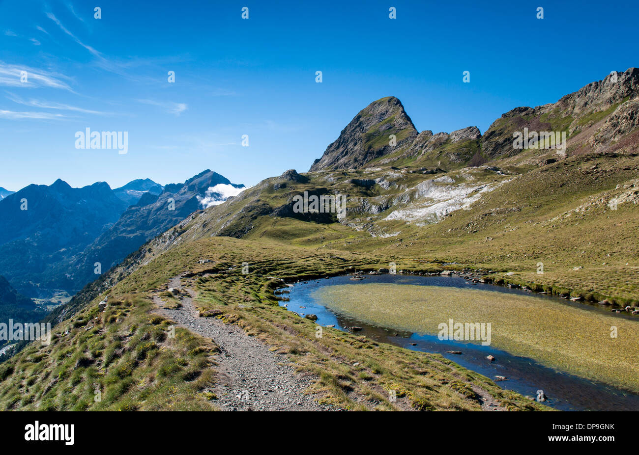 Basetas hi-res stock photography and images - Alamy