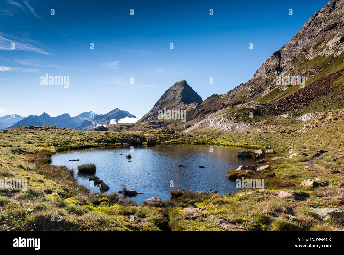 Basetas hi-res stock photography and images - Alamy