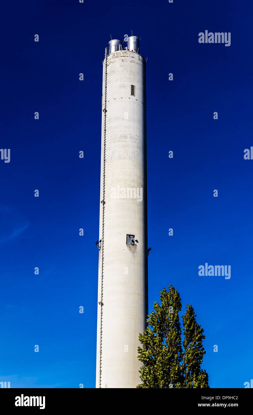Chimney tree hi-res stock photography and images - Alamy