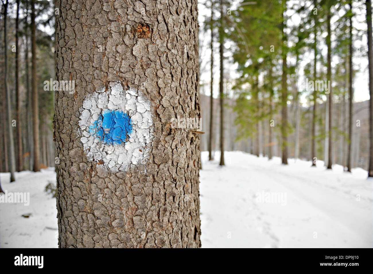 Dot map hi-res stock photography and images - Alamy