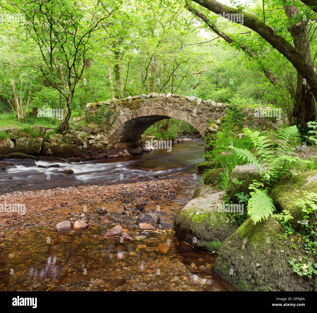 River Bovey flowing under Hisley bridge in Hisley wood, Dartmoor ...