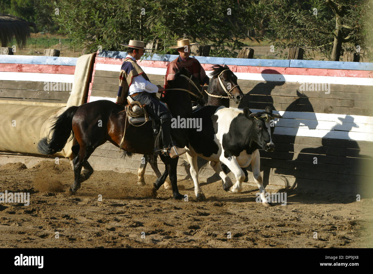 Traditional chilean rodeo puro caballo only hi-res stock photography ...