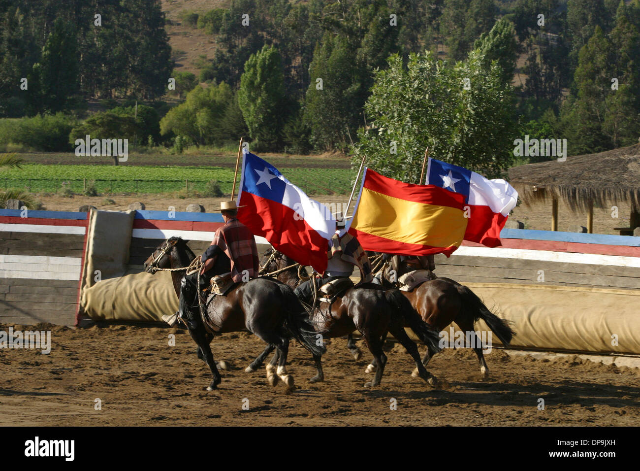 Traditional chilean rodeo puro caballo only hi-res stock photography ...
