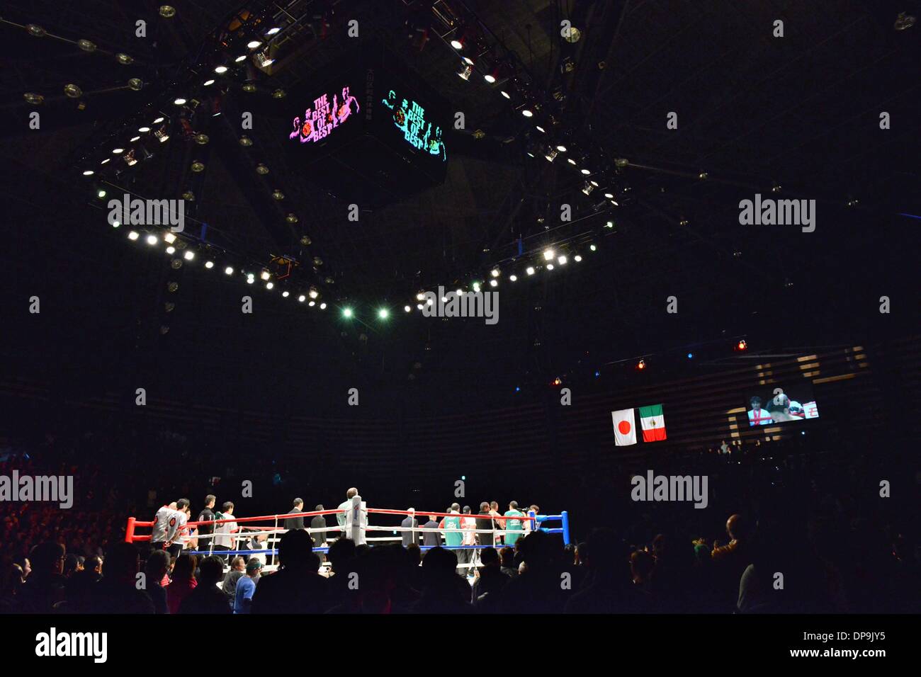Tokyo, Japan. 31st Dec, 2013. Ota-City General Gymnasium Boxing : A ...