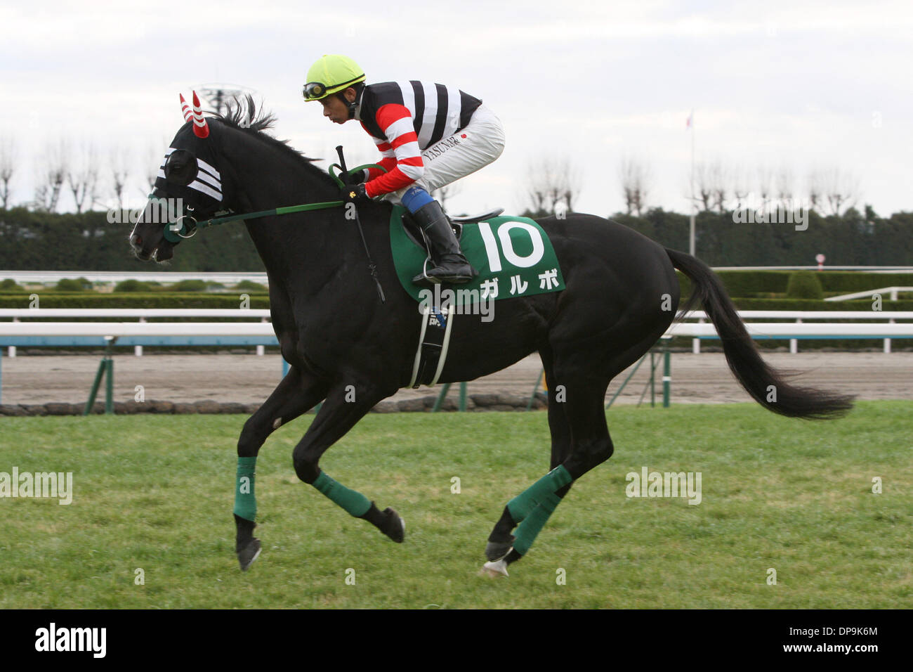 Kyoto kimpai hi-res stock photography and images - Alamy