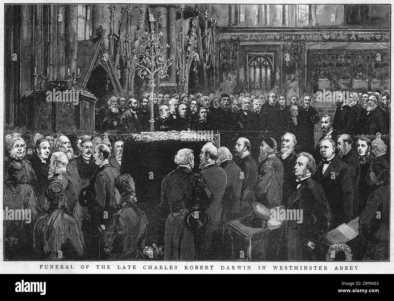 The darwins Black and White Stock Photos & Images - Alamy