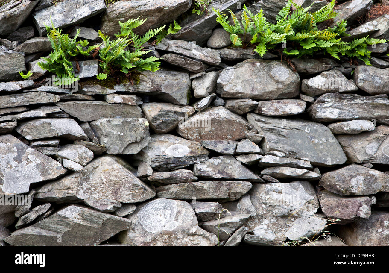 Stone full frame hi-res stock photography and images - Alamy