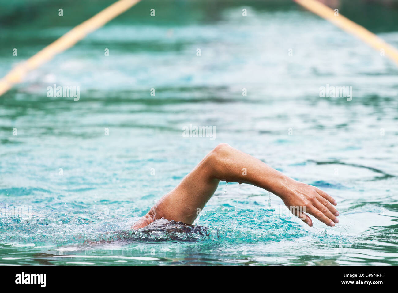 Young man swimming the front crawl in a pool Stock Photo - Alamy