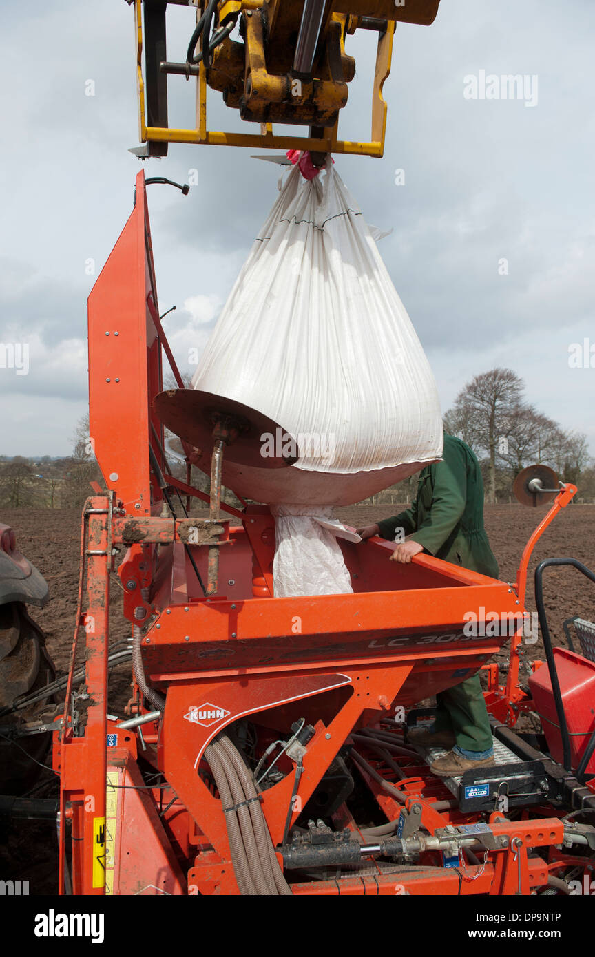 Loading a seed drill with Spring Barley seed. Cumbria, UK Stock Photo ...