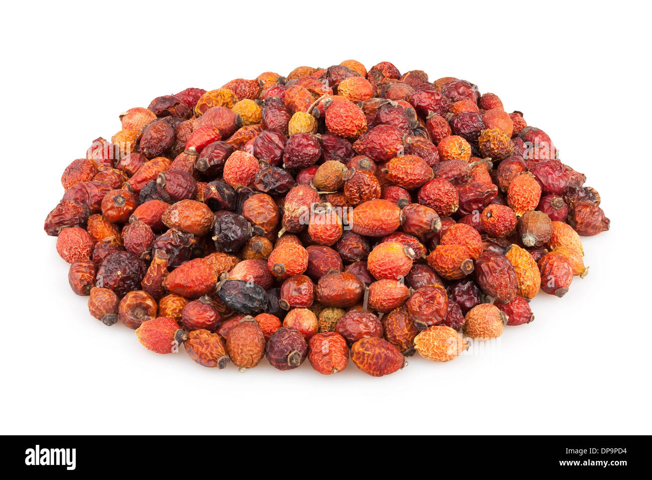 Briar rose Cut Out Stock Images & Pictures - Alamy