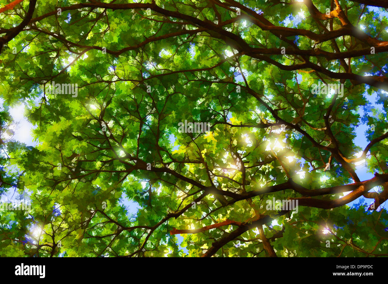 Under the big rain tree Stock Photo - Alamy