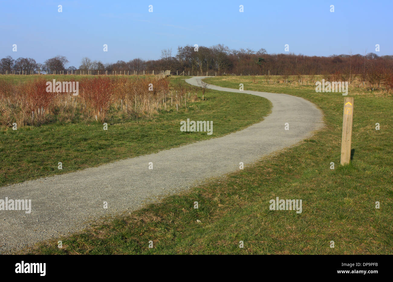 A concept image showing a path going forward and reaching goals Stock ...
