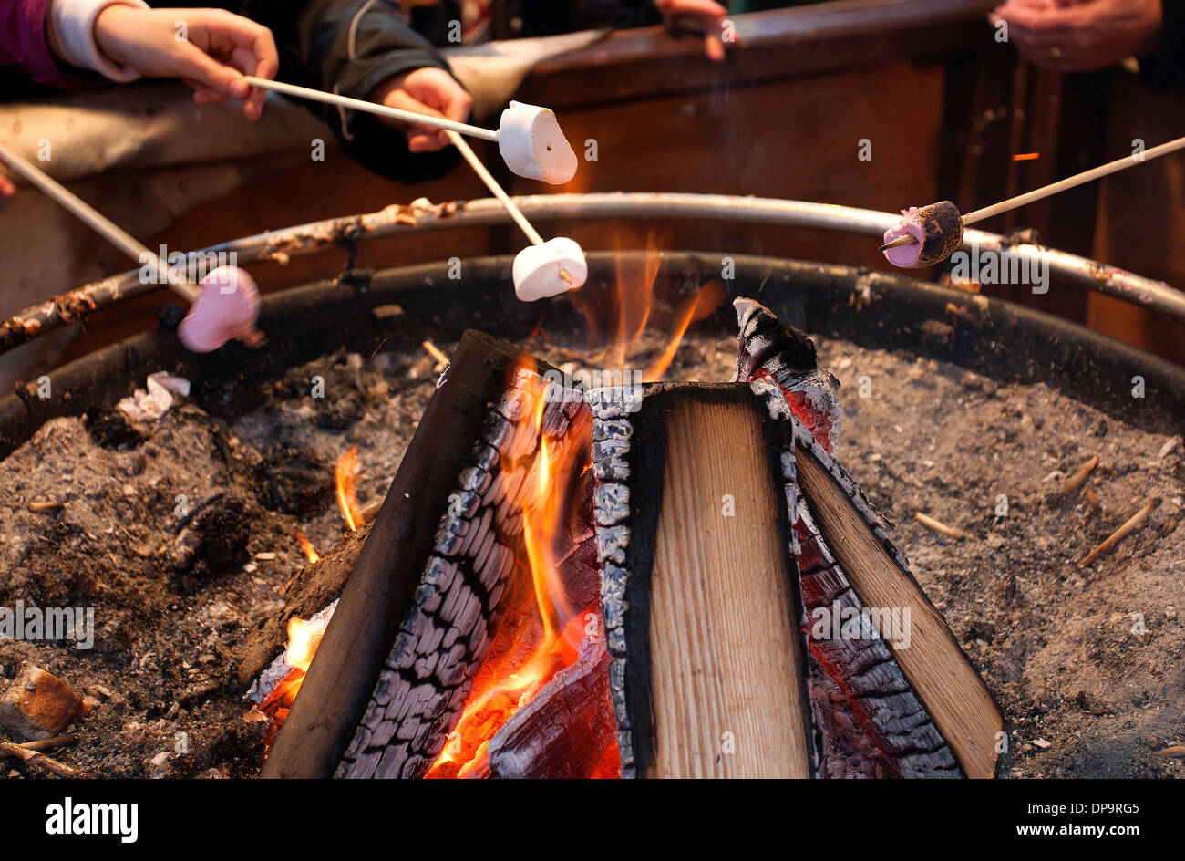 Toasting marshmallow over winter log fire Stock Photo - Alamy