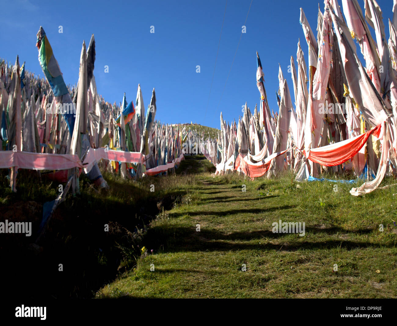 Lungta and Darchor Tibetan Buddhist prayer flags in Tibet, China Stock ...
