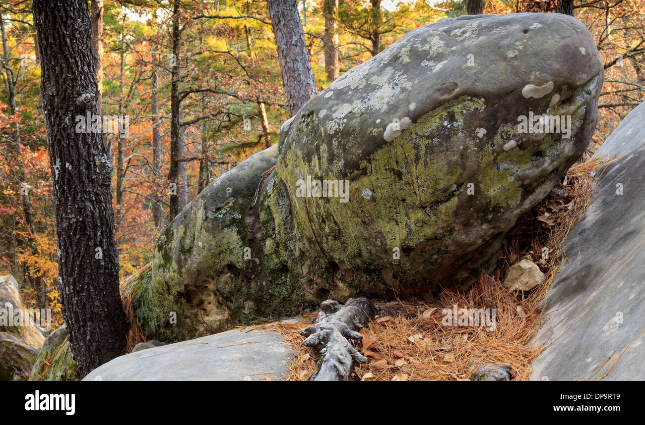 A rock in Robber's Cave State Park (Oklahoma) looks surprisingly alive ...