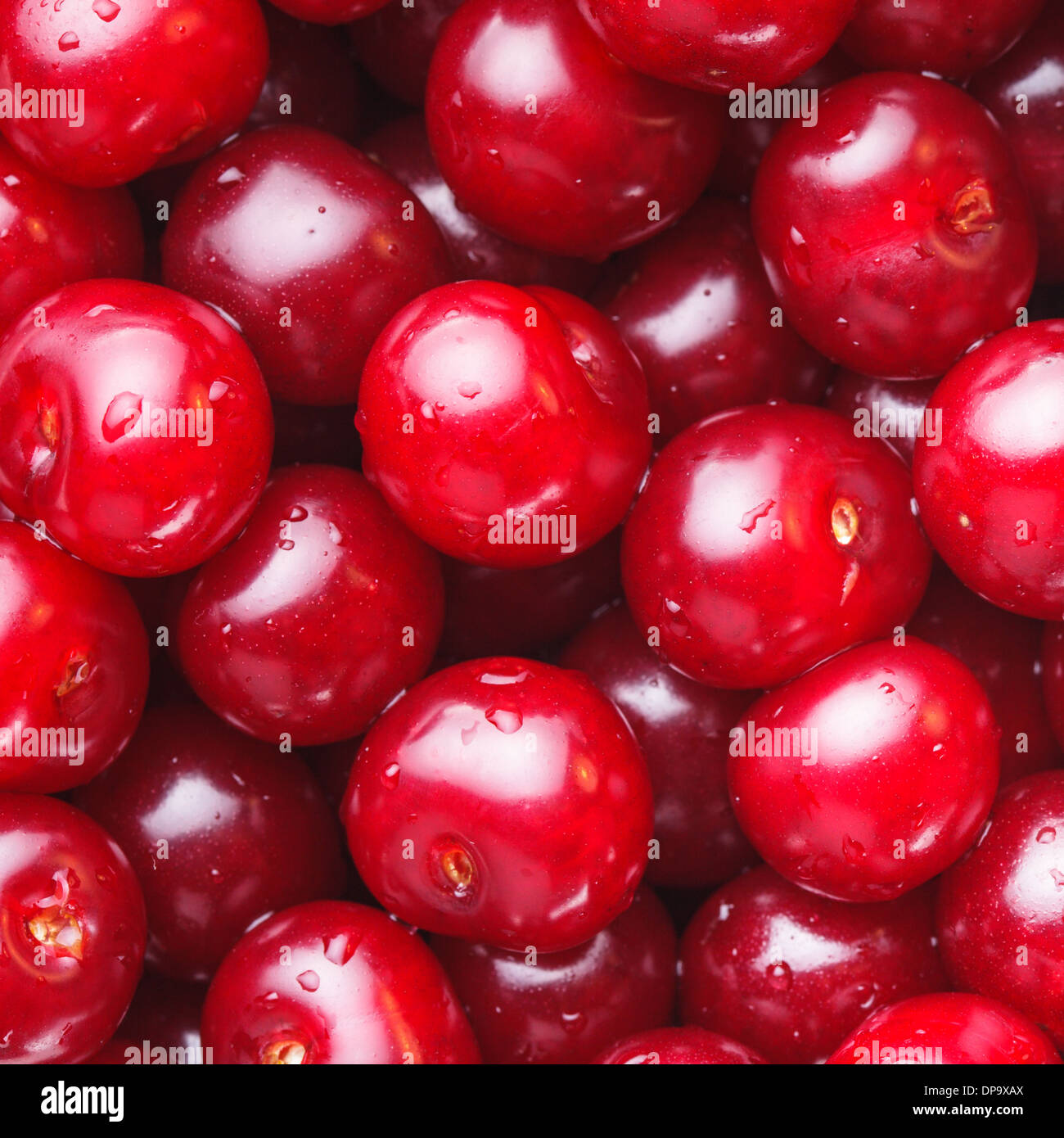 Maroon ripe cherries hi-res stock photography and images - Alamy