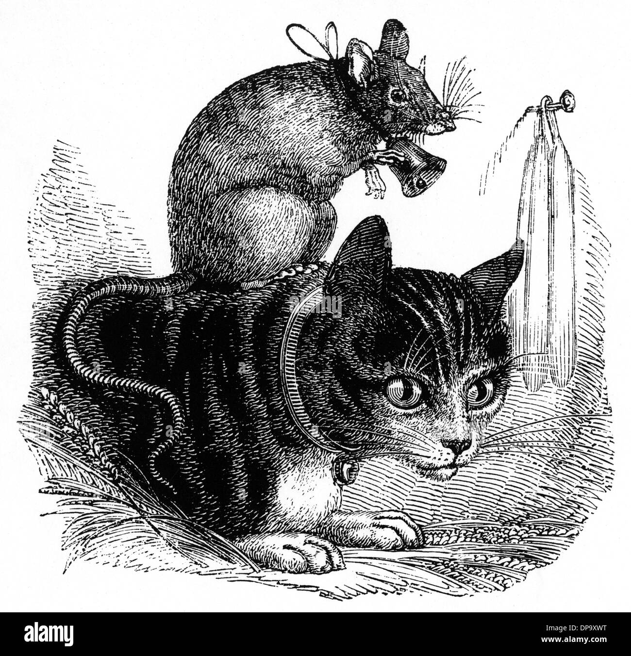 Belling the cat hi-res stock photography and images - Alamy