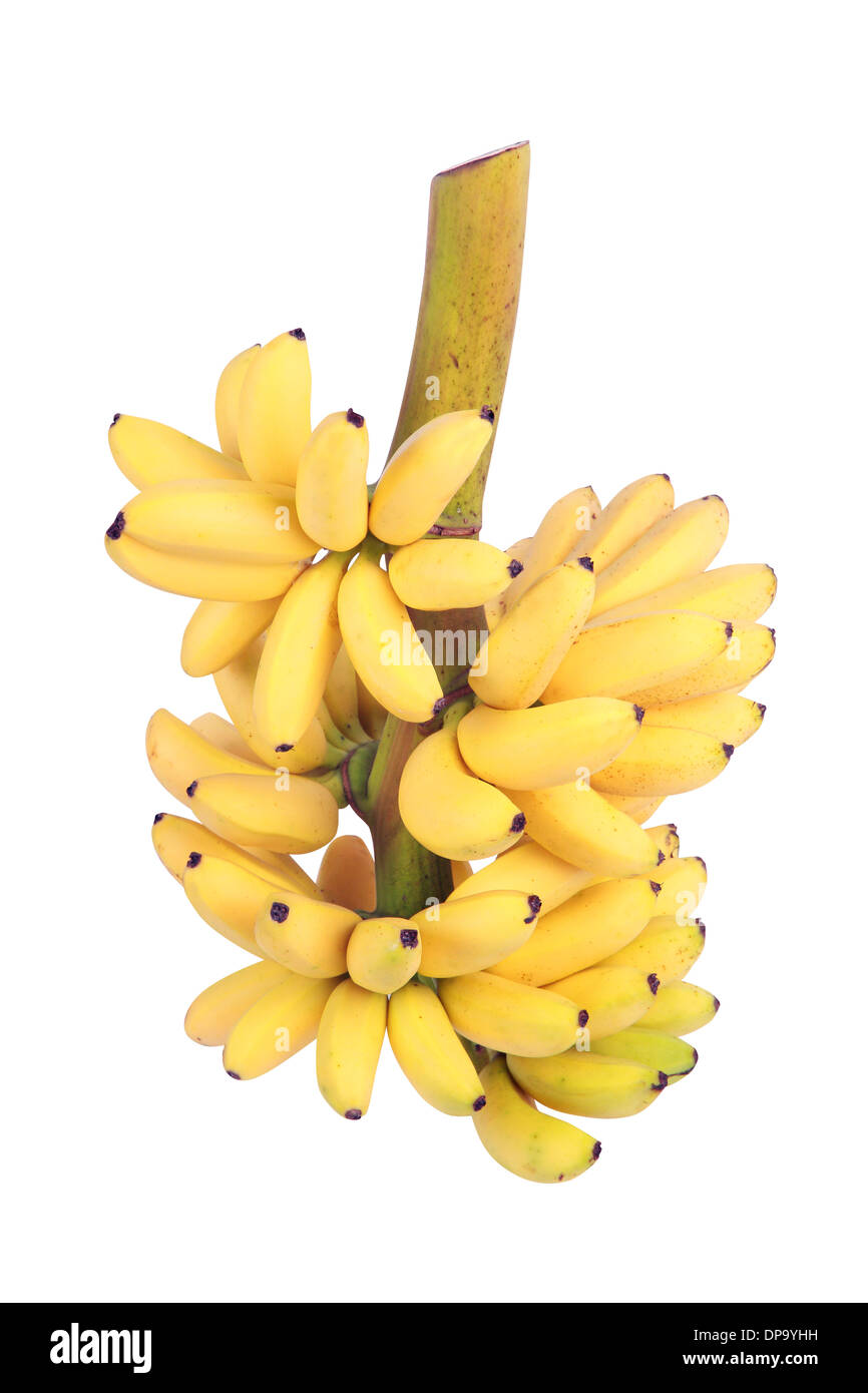 Banana bunch ripe on white background with clipping path Stock Photo ...