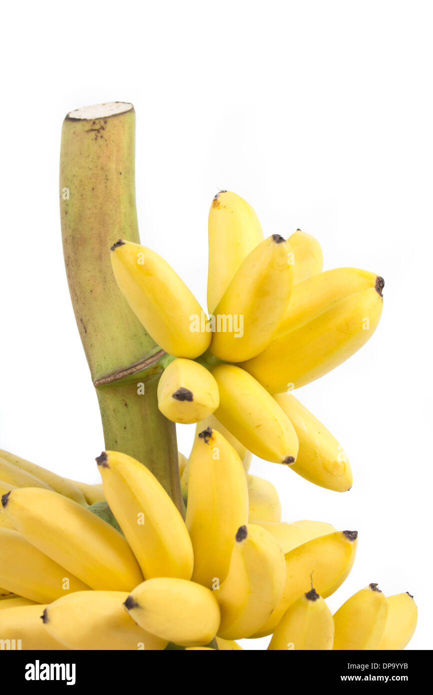 Banana bunch ripe isolated on white background Stock Photo - Alamy