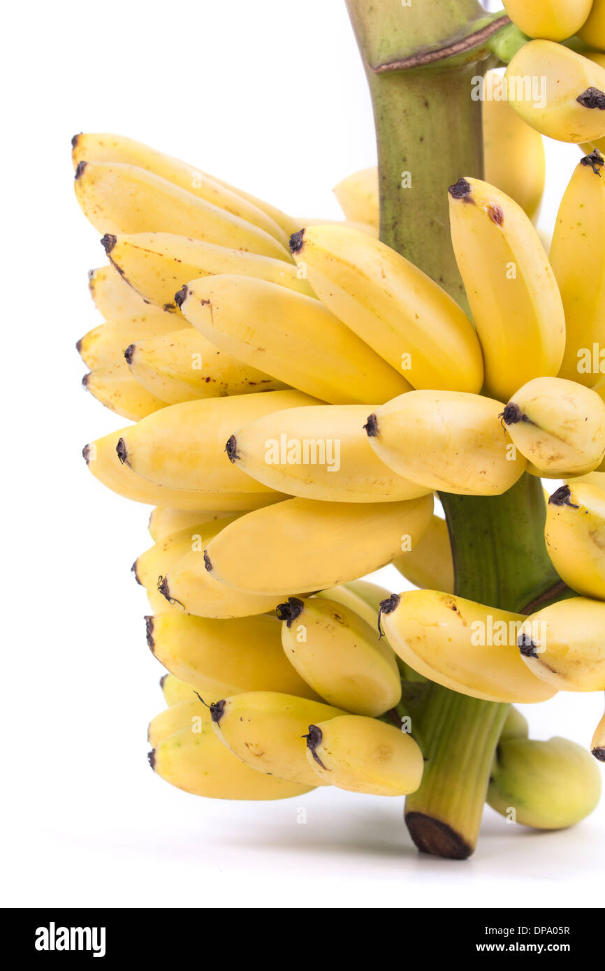 Banana bunch cluster isolated on white background Stock Photo - Alamy