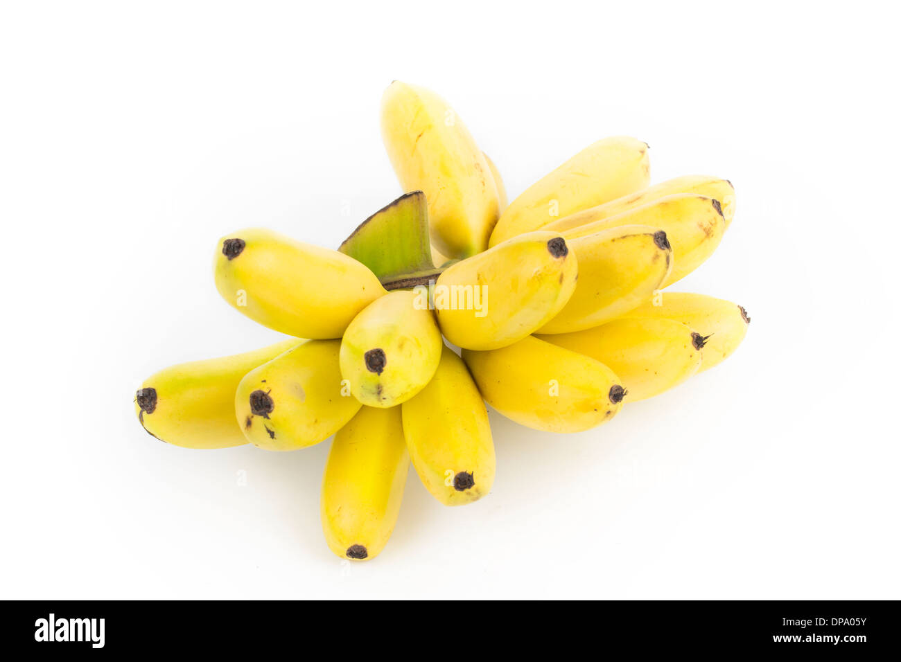 Banana bunch cluster isolated on white background Stock Photo - Alamy