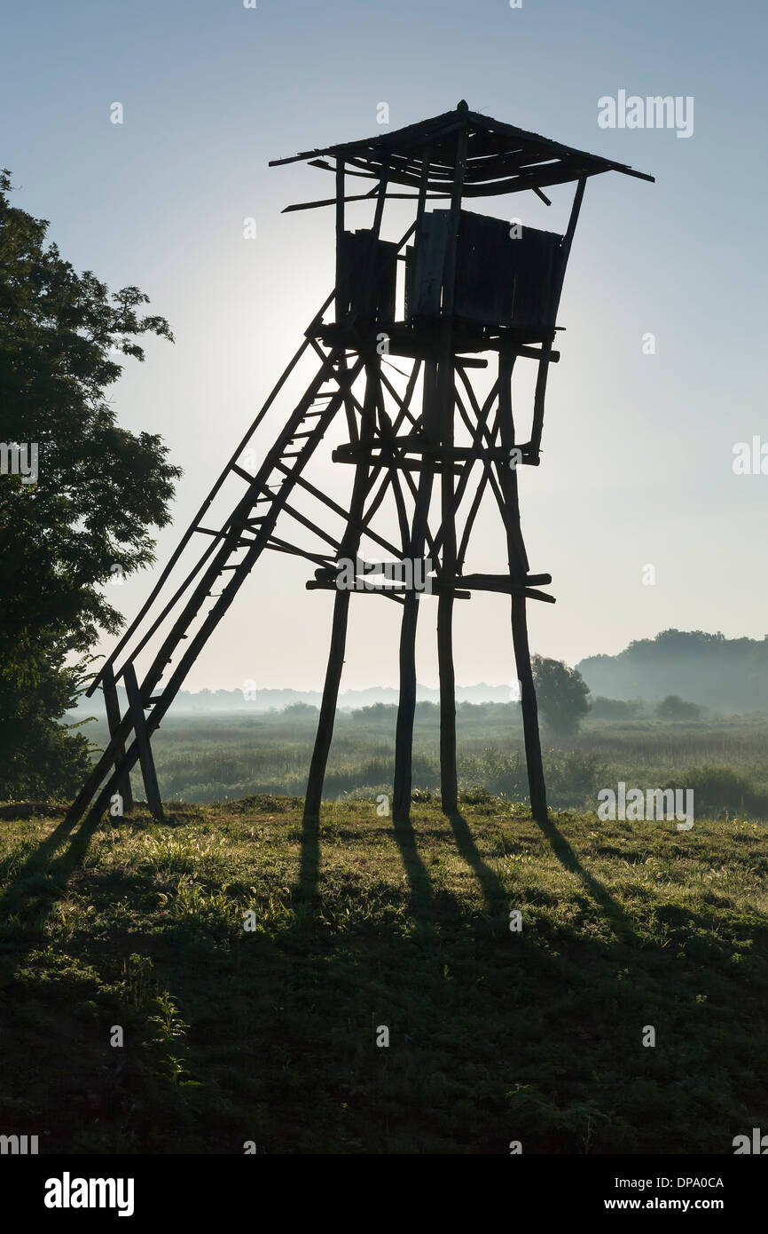 Old tilted watchtower in the natural reservation Stock Photo - Alamy