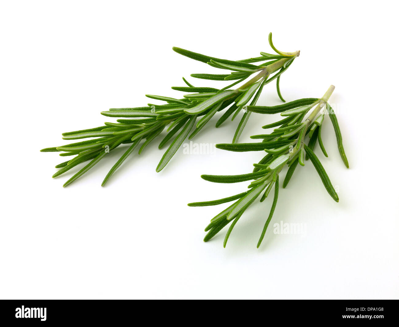 Cut rosemary Cut Out Stock Images & Pictures - Alamy