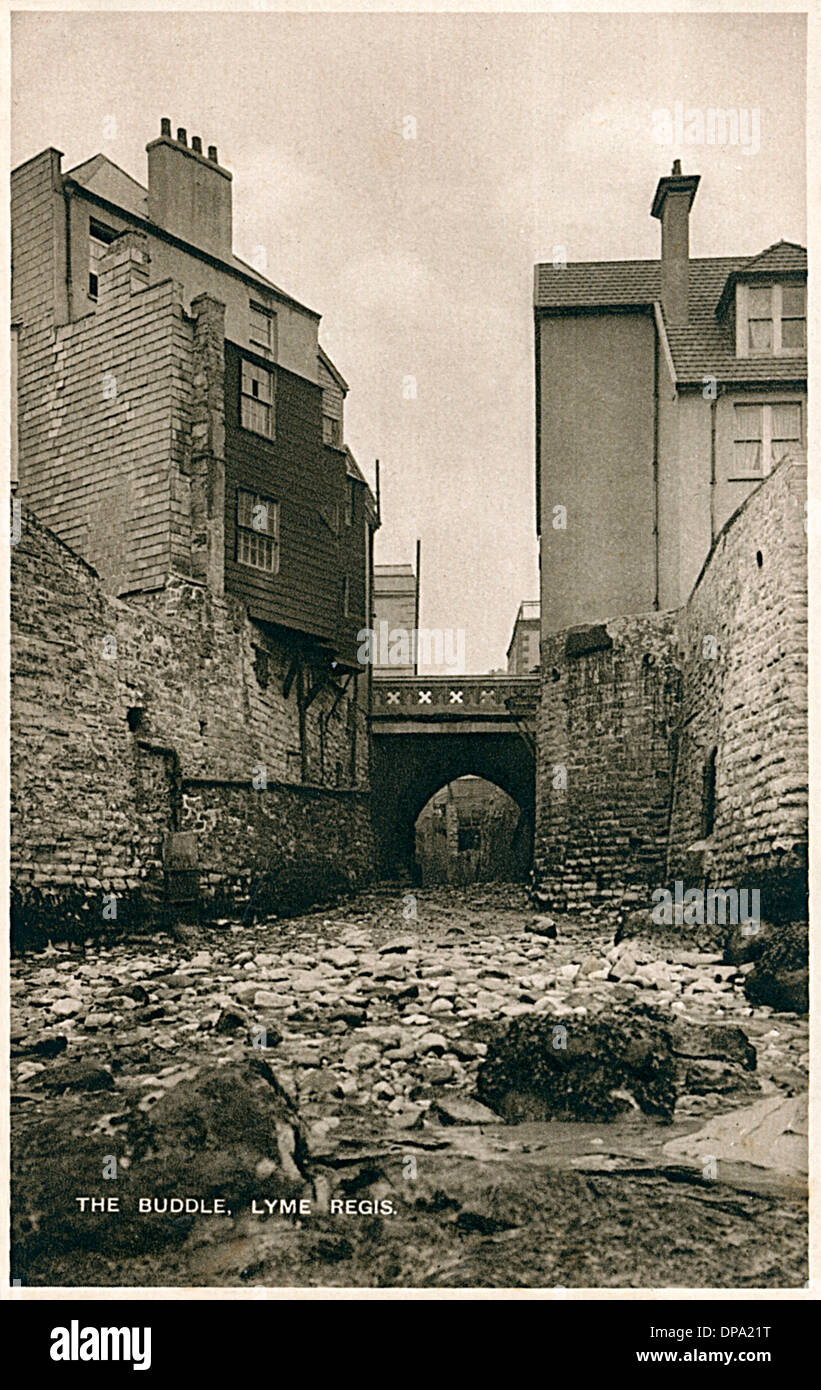 The Buddle, Lyme Regis, Dorset Stock Photo - Alamy