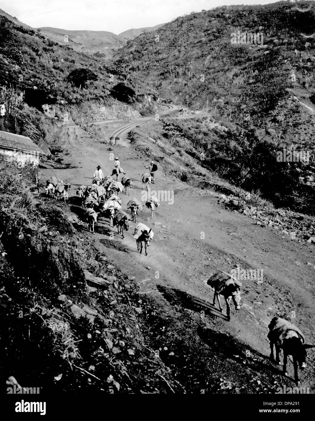 Donkey train hi-res stock photography and images - Alamy