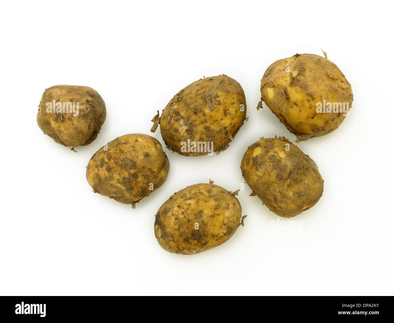 New spuds hi-res stock photography and images - Alamy