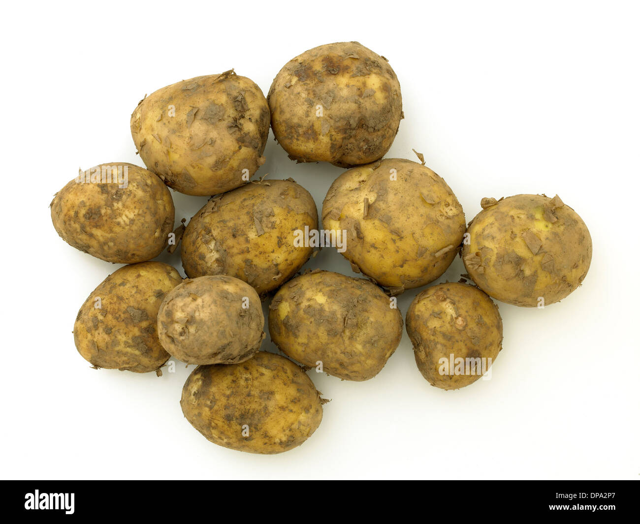 New harvest potato hi-res stock photography and images - Alamy